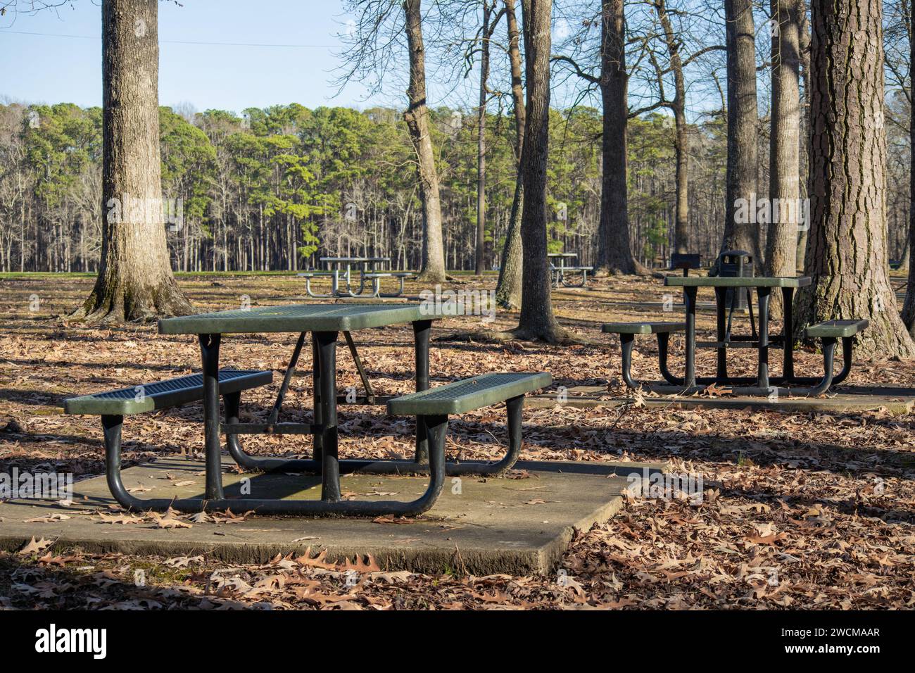 Concrete picnic tables hi-res stock photography and images - Alamy