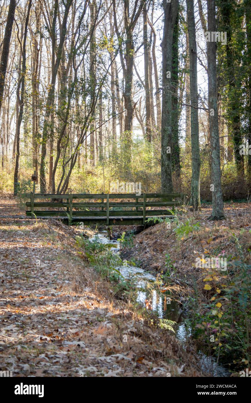 Old Mossy Wooden Bridge Over Stream in Forest Trail Stock Photo - Alamy