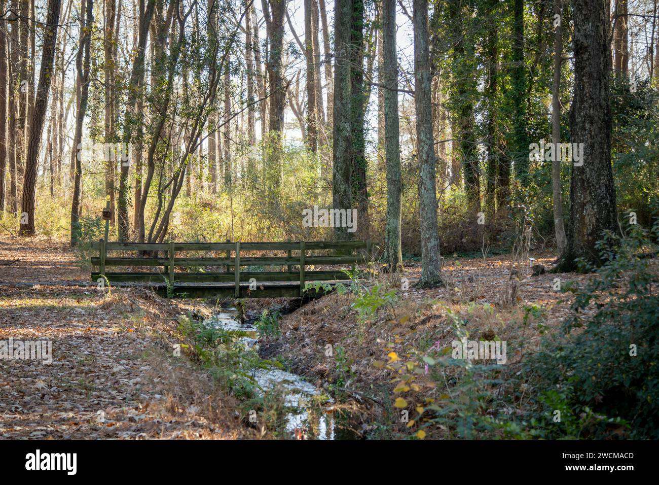 Old mossy bridge in forest hi-res stock photography and images - Alamy