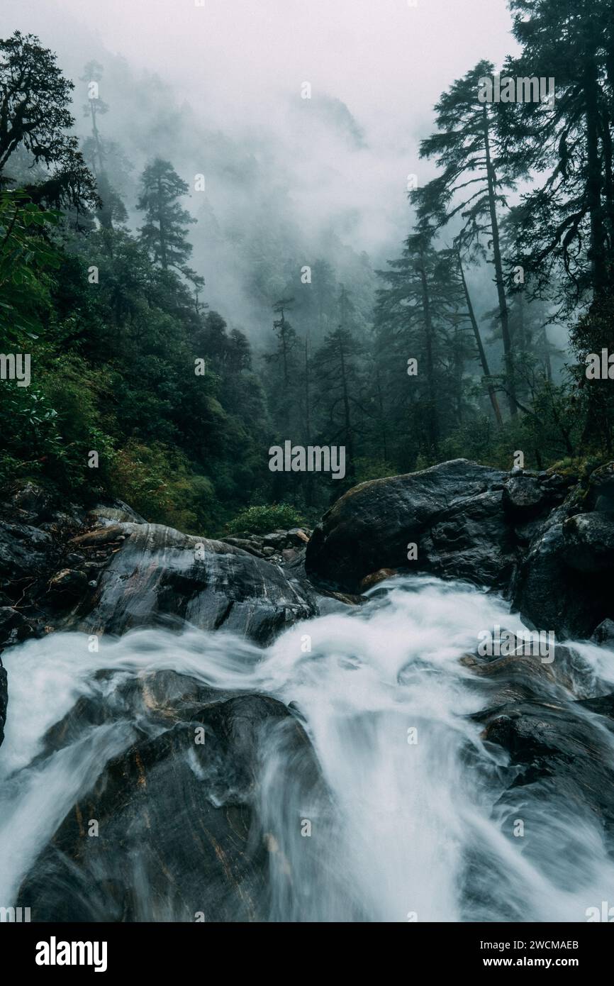 Powerful mountain creek running through the big boulders down the foggy ...