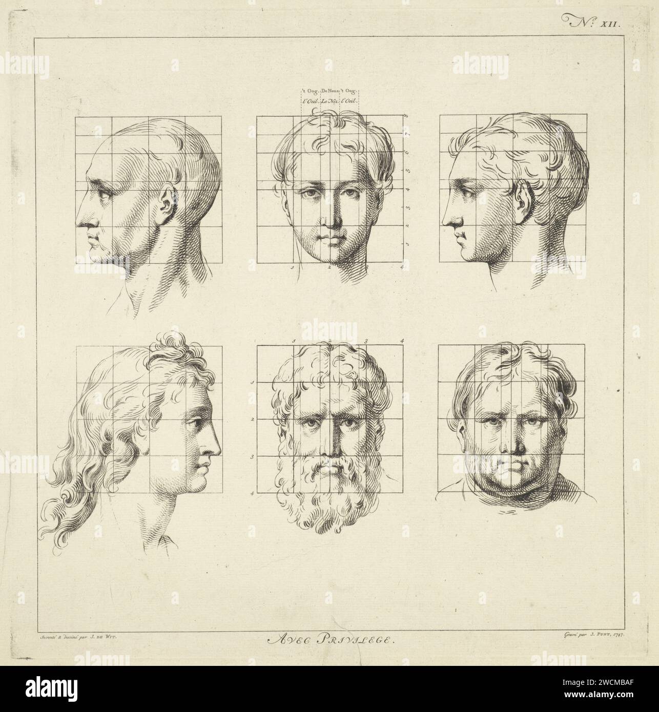 Proportions of human head hi-res stock photography and images - Alamy