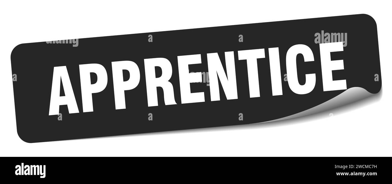 apprentice sticker. apprentice rectangular label isolated on white ...
