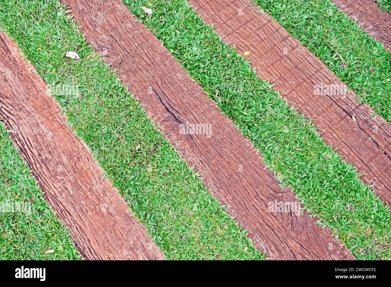 Wood and grass texture on public park floor Stock Photo - Alamy