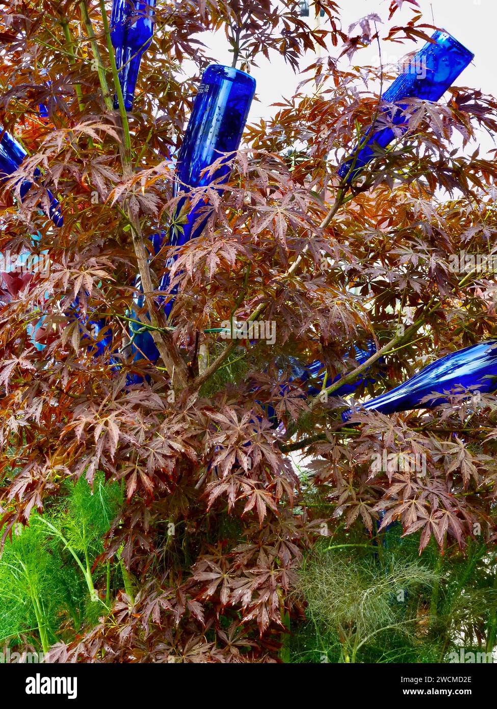 Upcycled glass bottles hi-res stock photography and images - Alamy