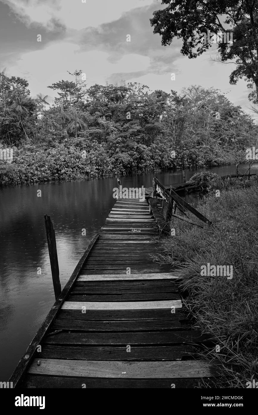 Rainforest and river in french guiana hi-res stock photography and ...