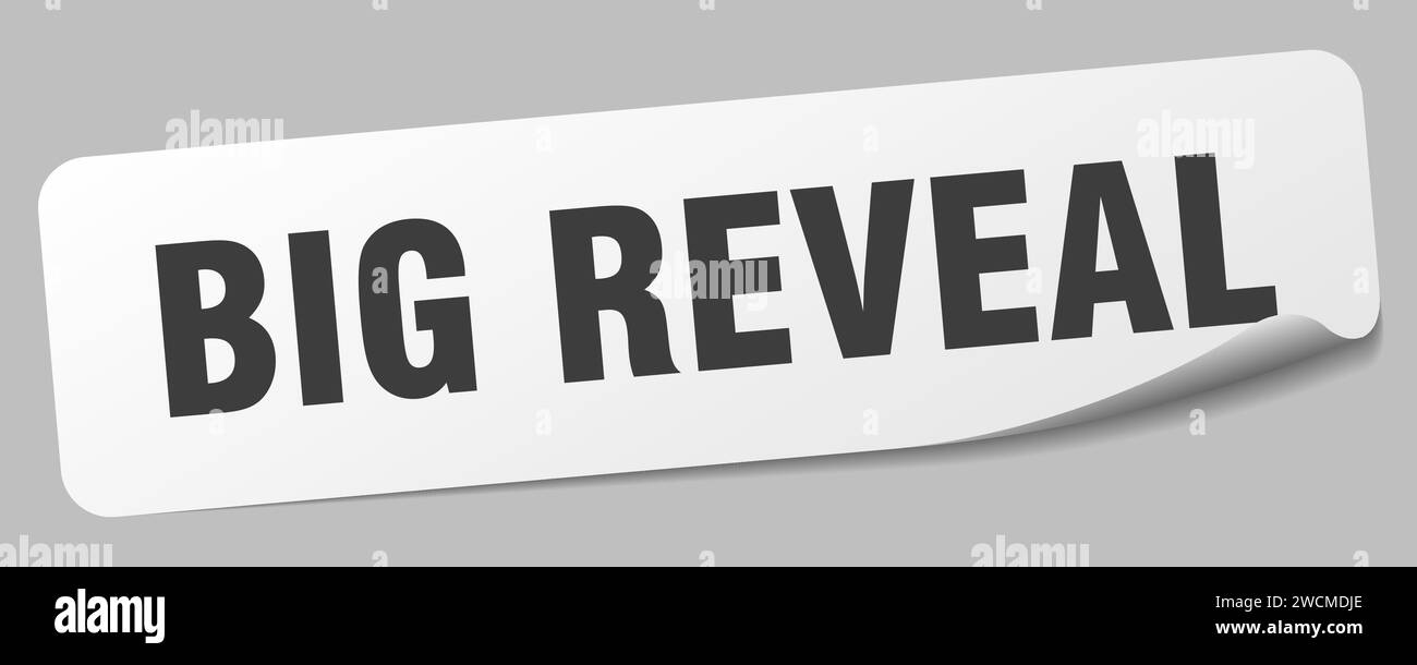 Big Reveal Sticker Big Reveal Rectangular Label Isolated On White Background Stock Vector Image