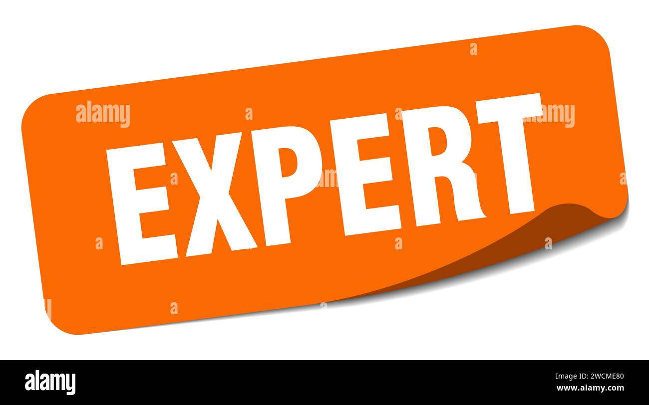 expert sticker. expert rectangular label isolated on white background ...