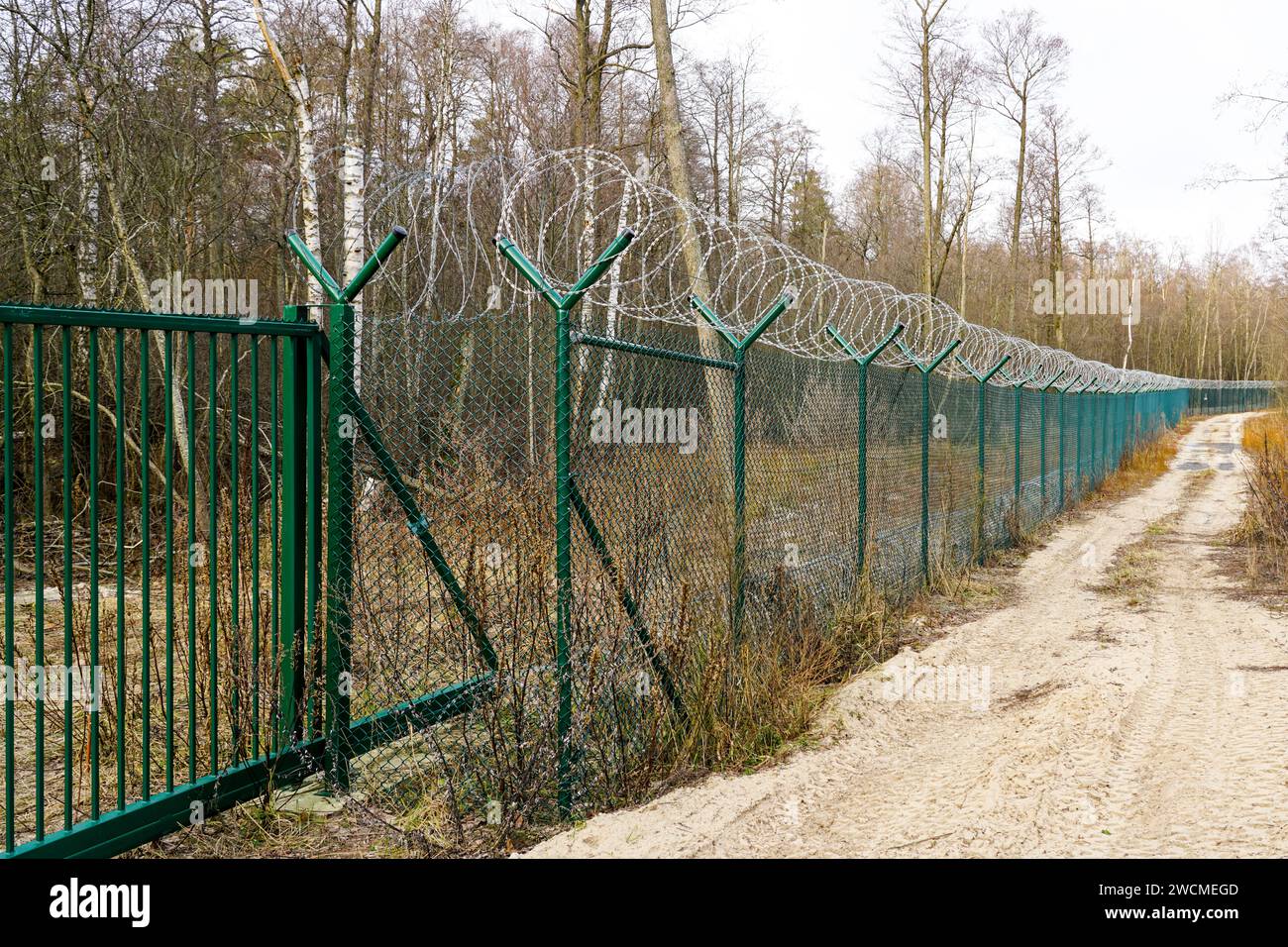 A new green metal mesh fence with coiled barbed wire and gate around ...