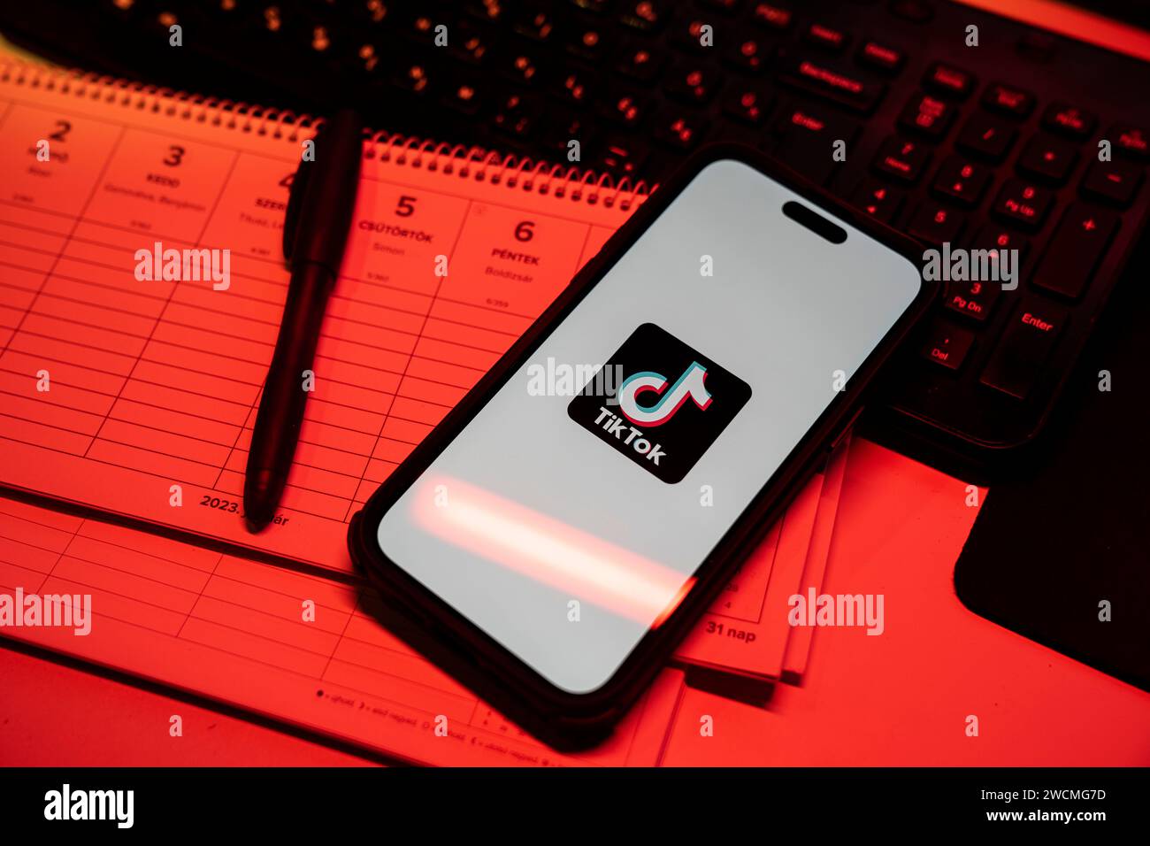 Tik Tok application on the screen of the Apple iPhone 14 Pro Max ...