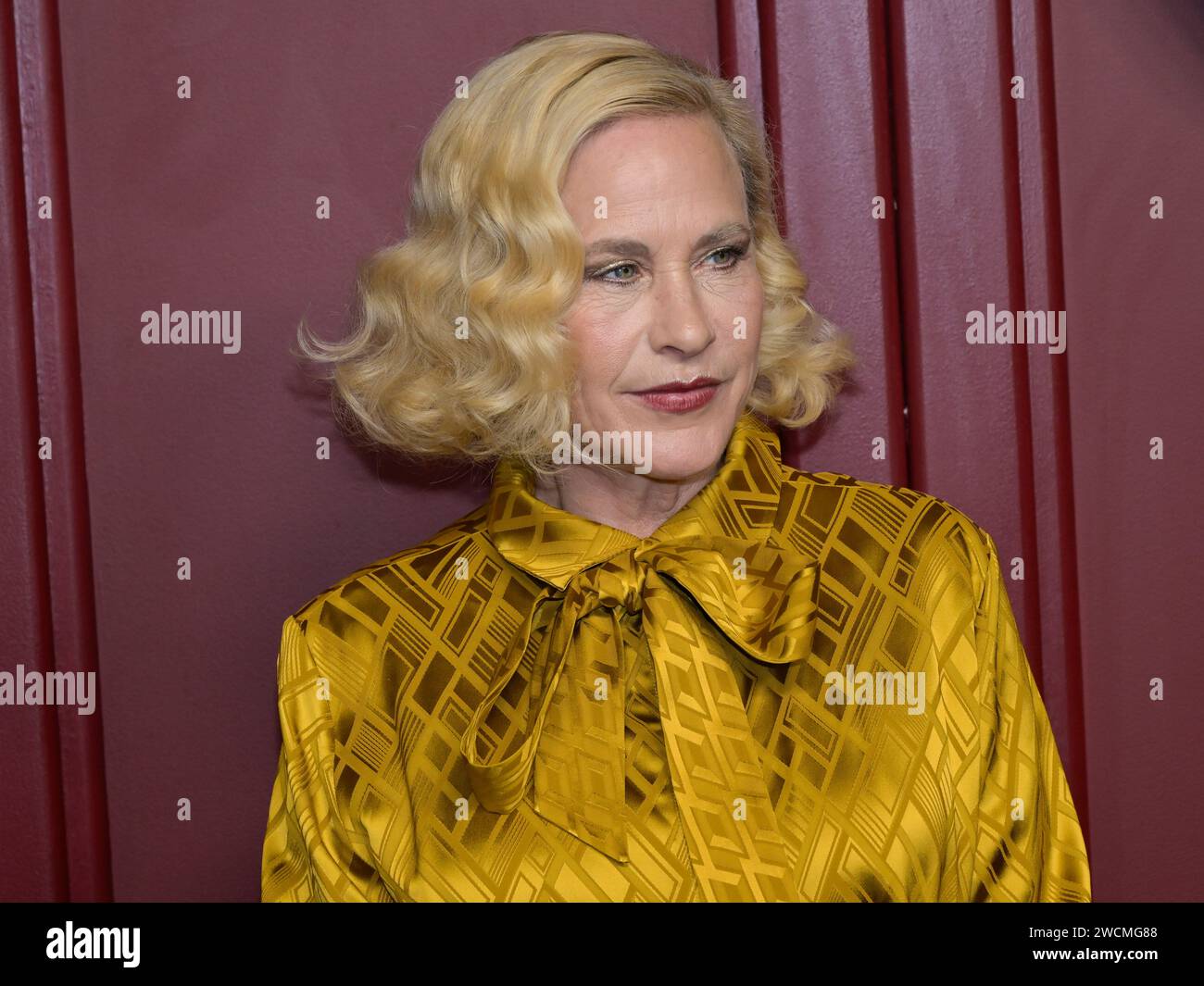 January 15, 2024, Hollywood, California, United States: Patricia ...