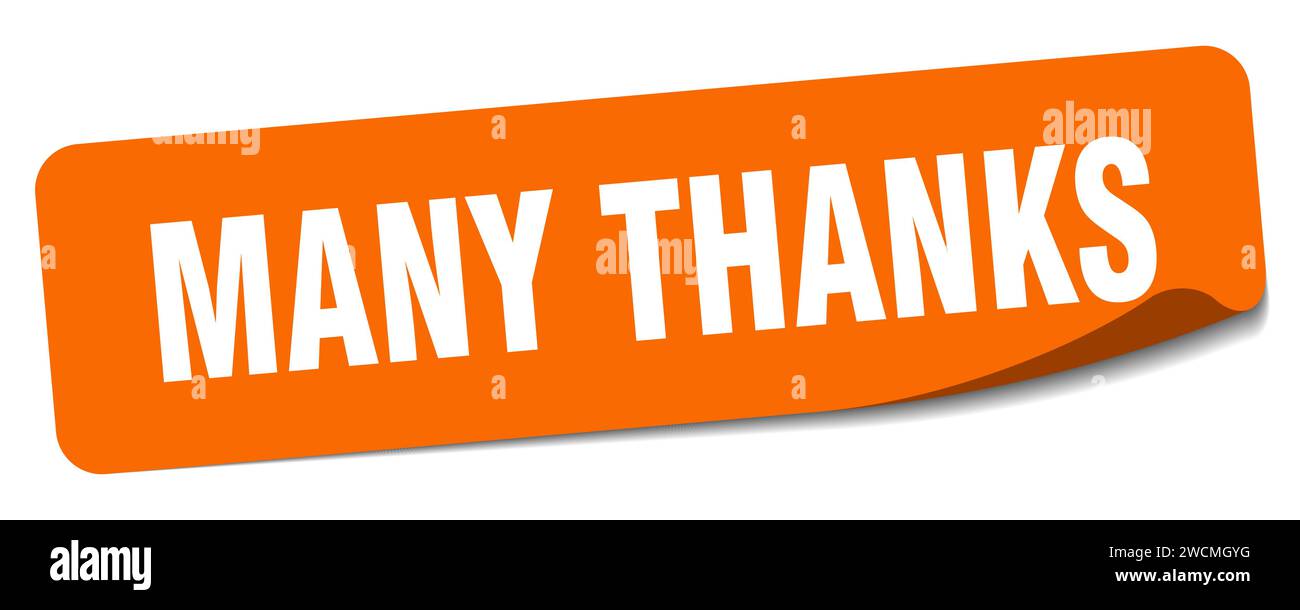 many thanks sticker. many thanks rectangular label isolated on white ...