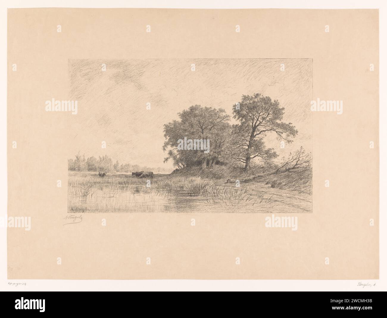 Three cows at a puddle with a felled tree next to it, Alphonse ...