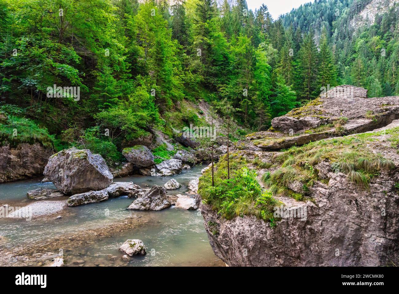 Mountain water course flowing trough the rocks Stock Photo - Alamy