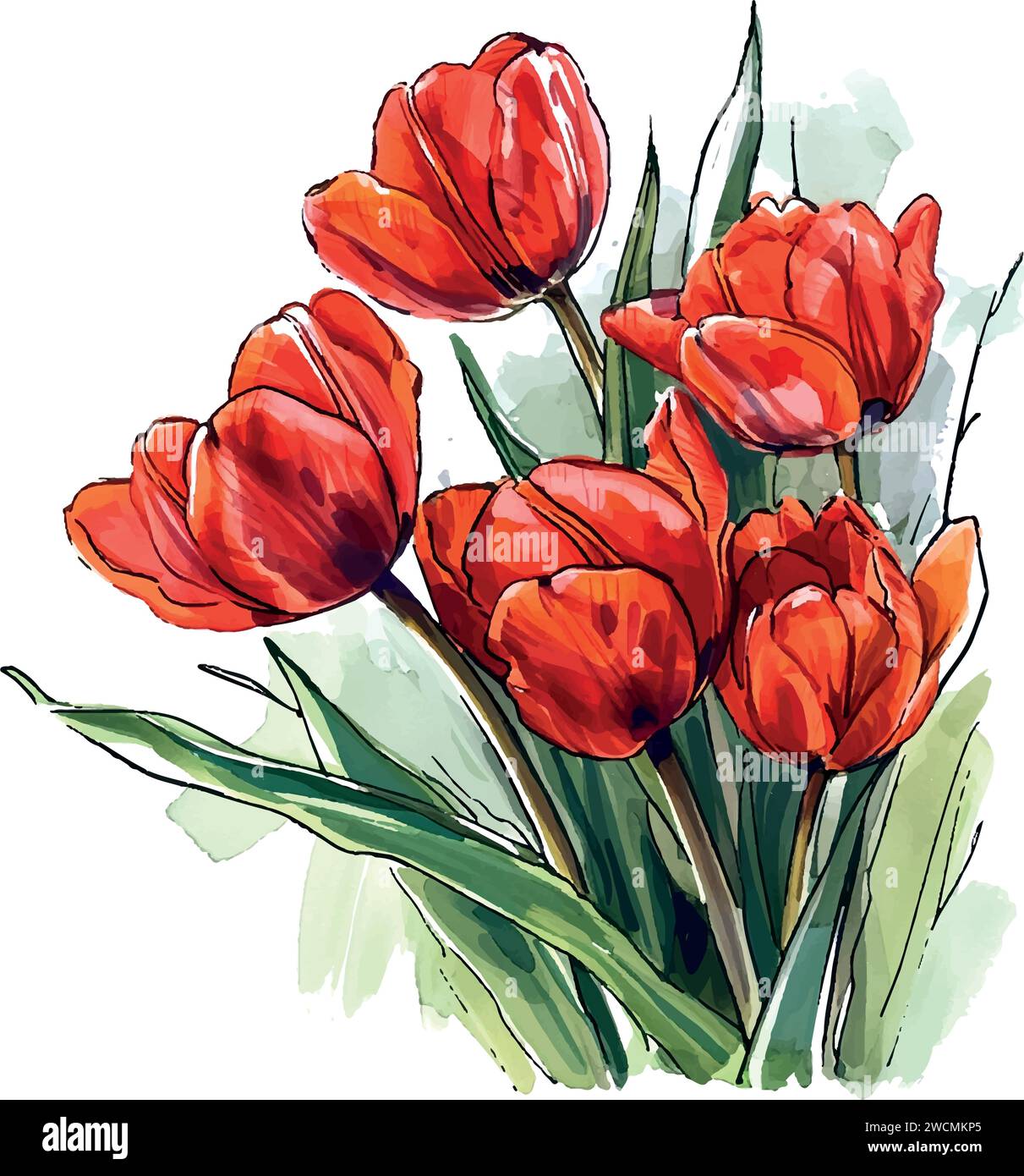 bouquet of red tulips cartoon style watercolor illustration on white ...