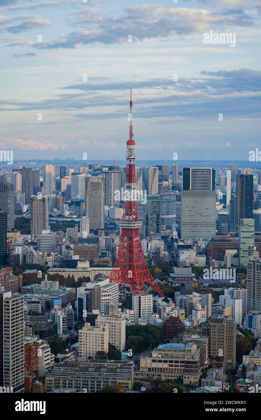 A breathtaking view of Tokyo cityscape from the Tokyo Tower at sunset ...