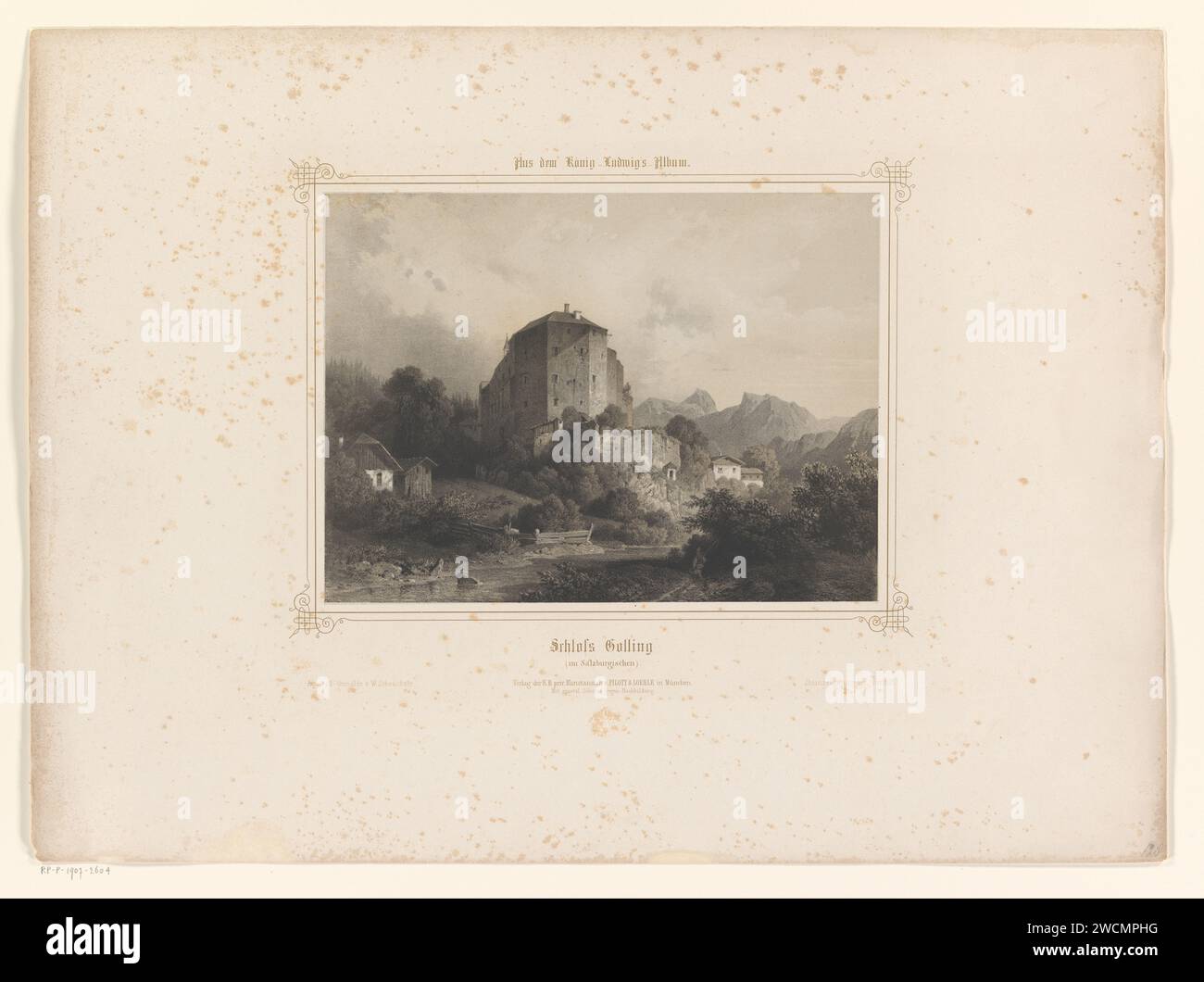 Wilhelm scheuchzer hi-res stock photography and images - Alamy