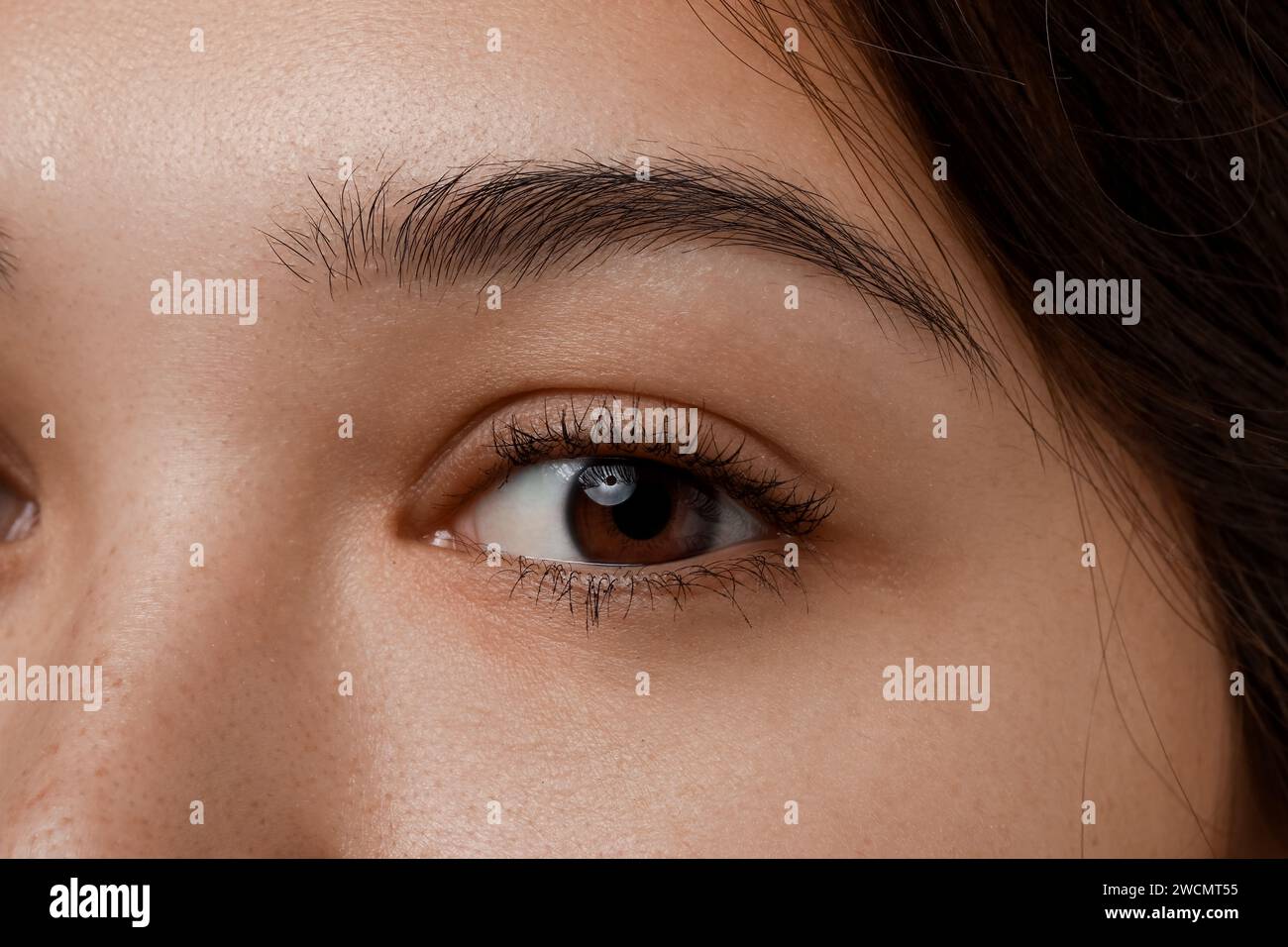 Young beautiful asian optical hi-res stock photography and images - Alamy