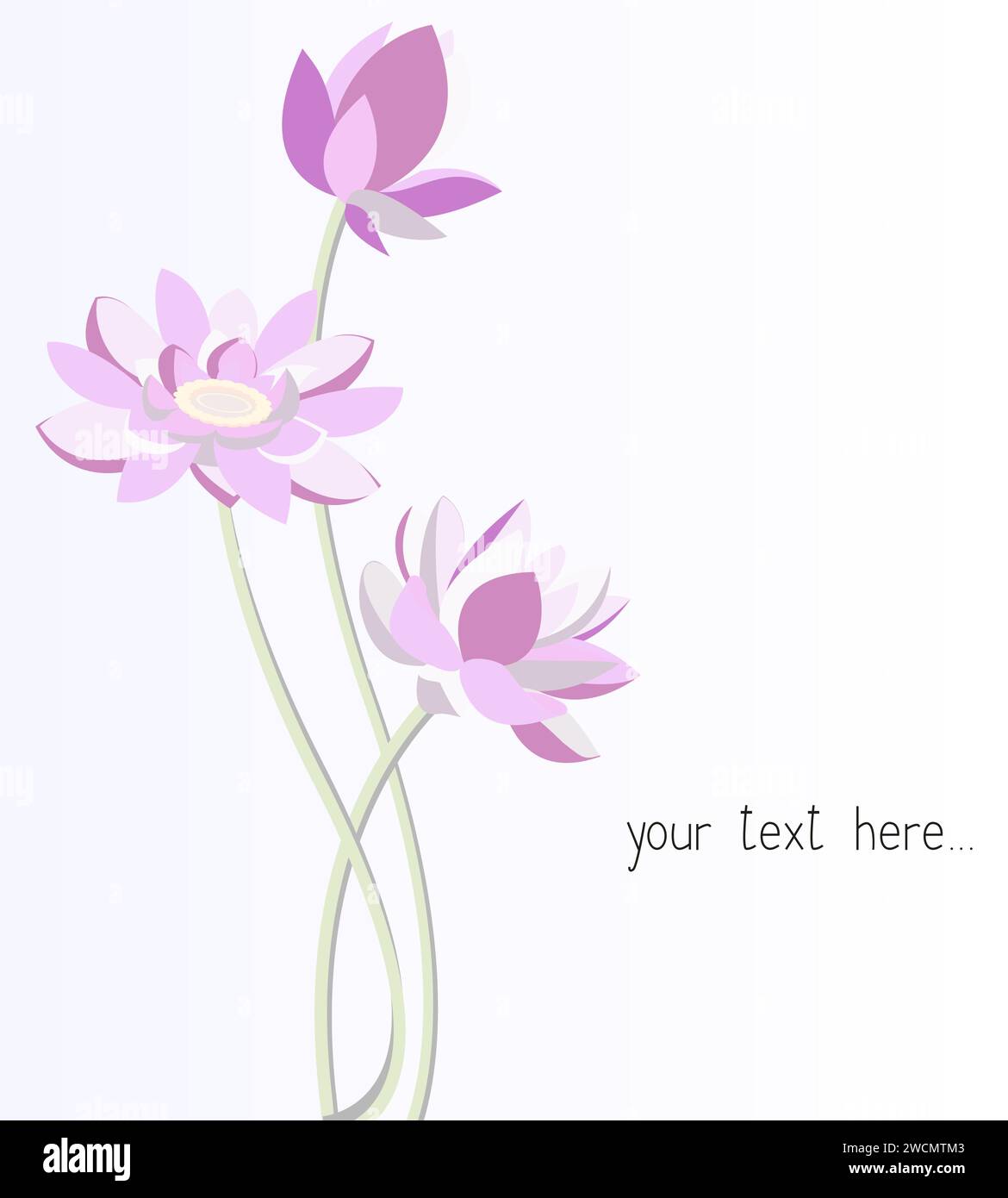 Vector lotus flowers. Graphic modern illustration. Stylish design Stock ...