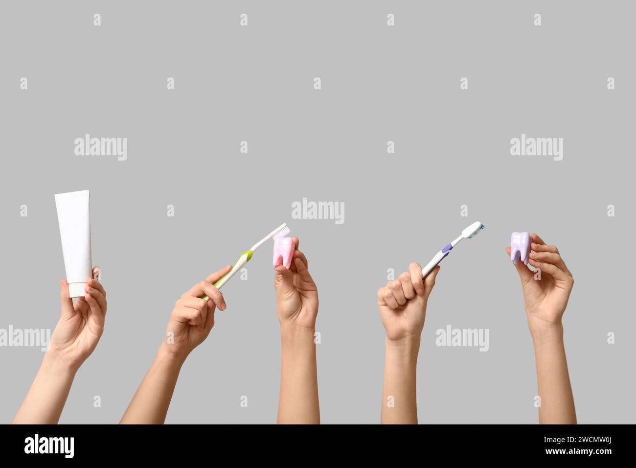 Female hands with toothbrushes, toothpaste and teeth models on grey ...