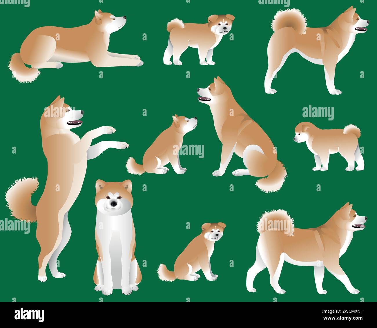 Dog breed type Stock Vector Images - Alamy