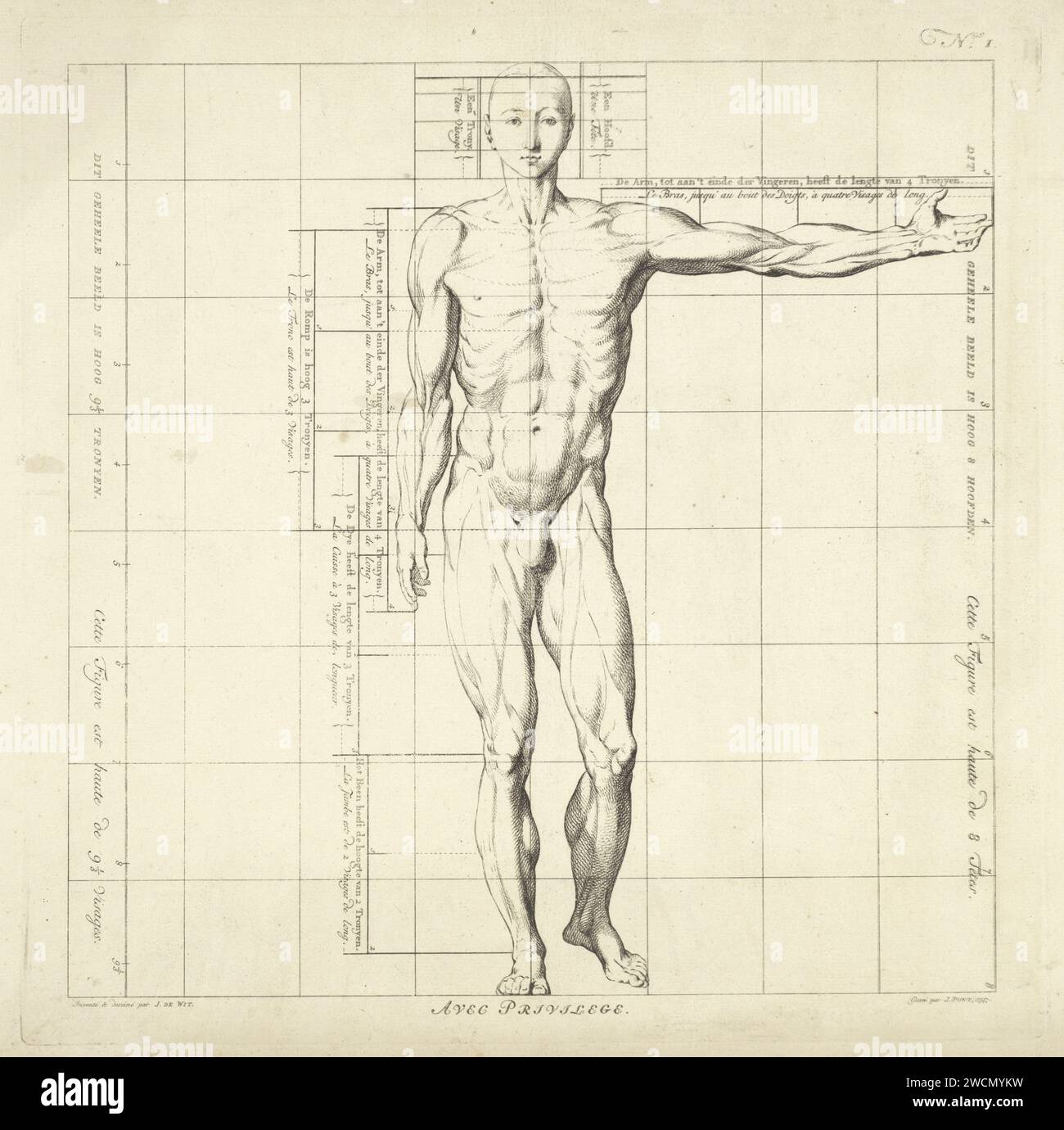 Proportion study of the body of a man, Jan Punt, After Jacob de Wit ...