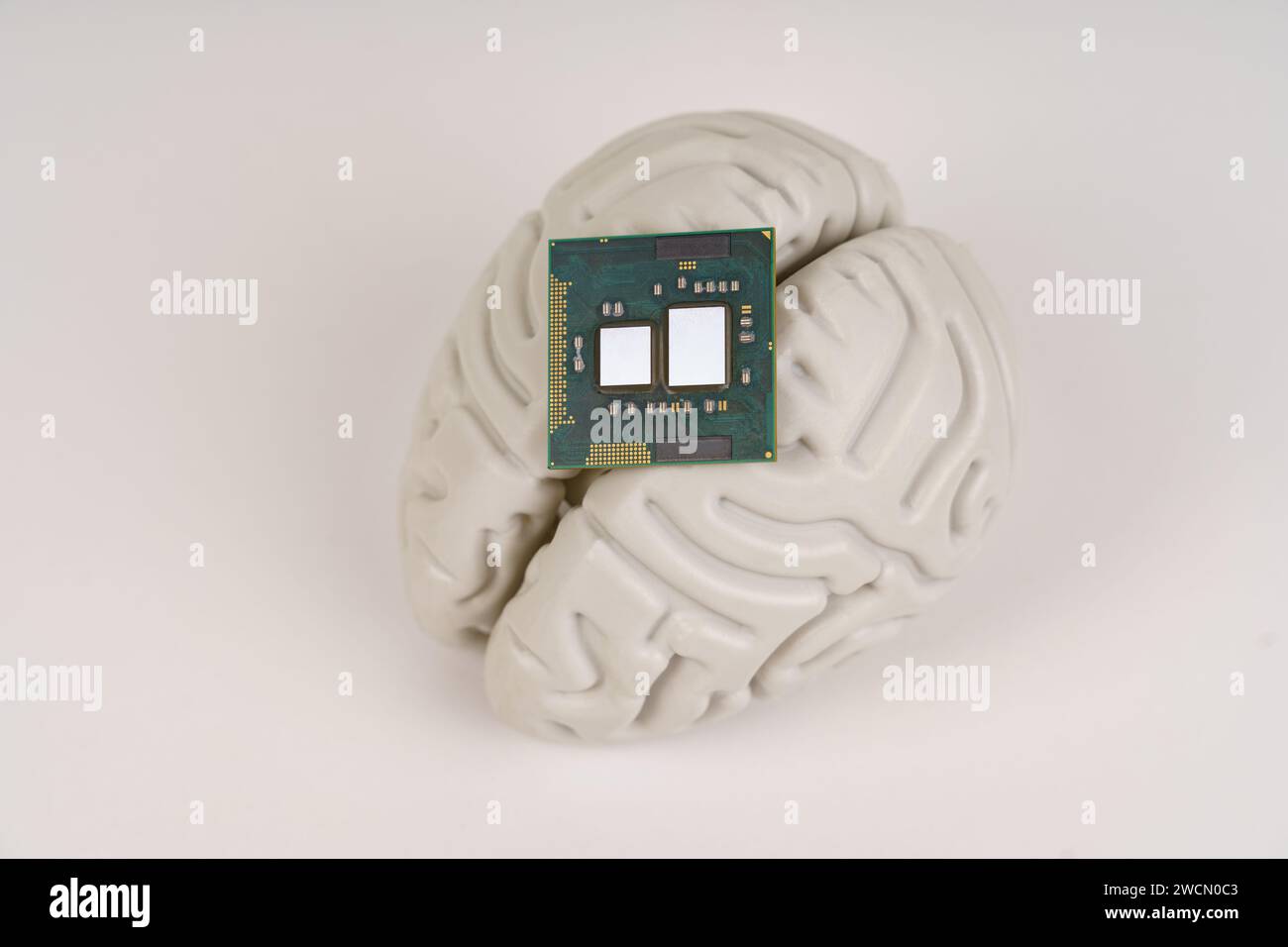 Human brain and computer chip. Microprocessor in the head, on a white ...