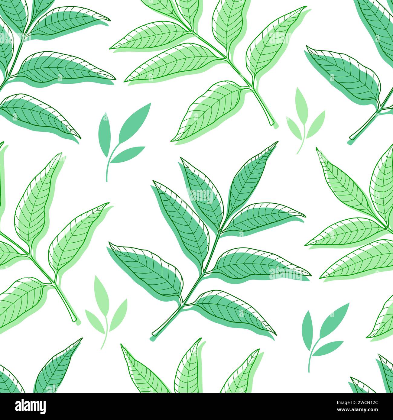 Leaf outline pattern hi-res stock photography and images - Alamy