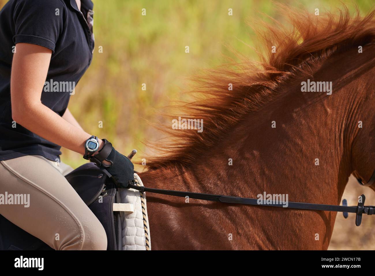 Jockey, horse and countryside for horseback riding in texas, rider and ...