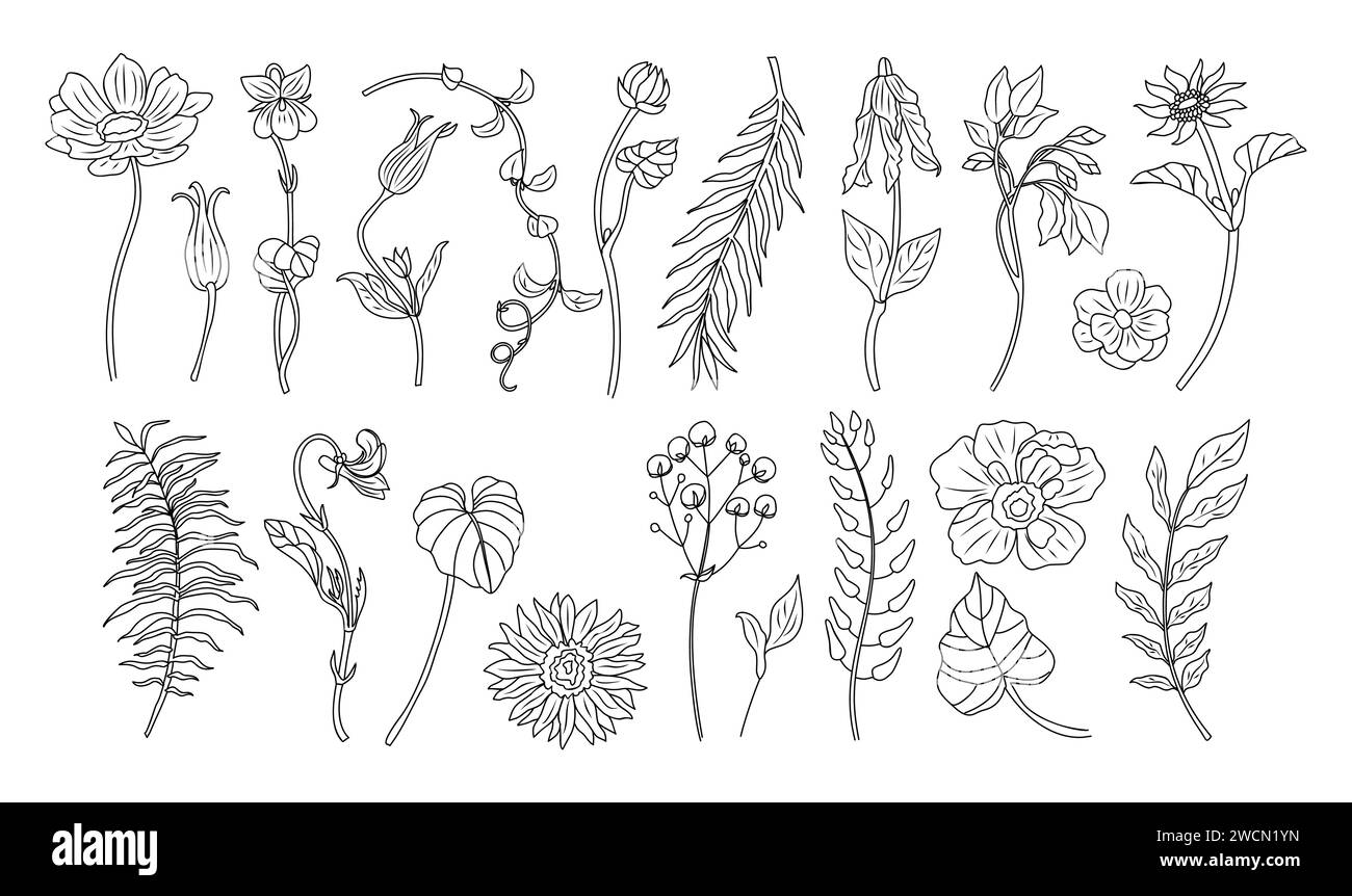 Set of tiny wild flowers, plants line art vector Stock Vector Image ...