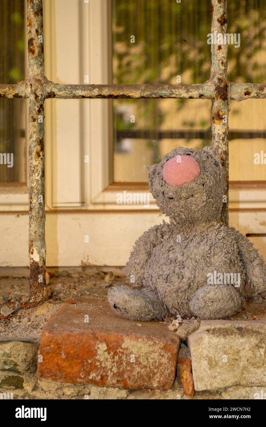 plush toy cat left without a home, children's toys, toy cat on a window ...