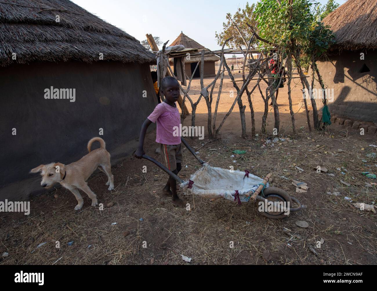 Uganda, Adjumani. A boy with wheelbarrow navigates through the refuge ...