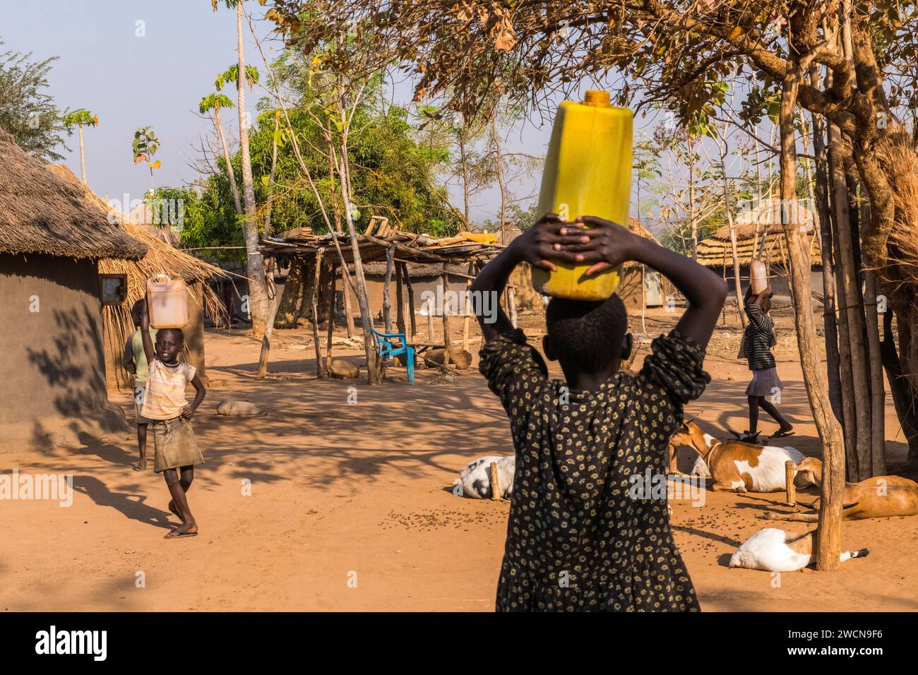 Uganda, Adjumani. South Sudan refugees carrying water to their homes ...