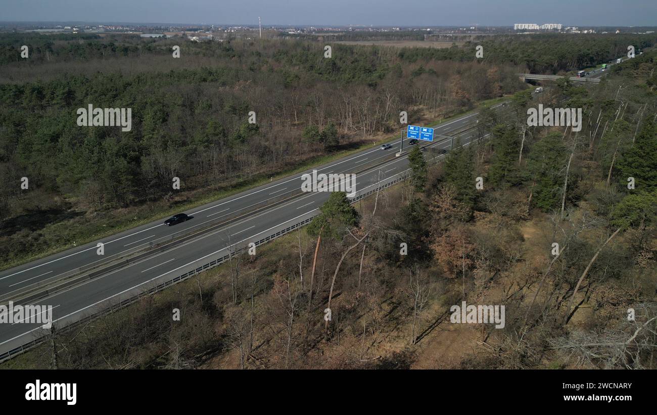 Tree death and diseased trees on a highway with heavy traffic and CO2 ...