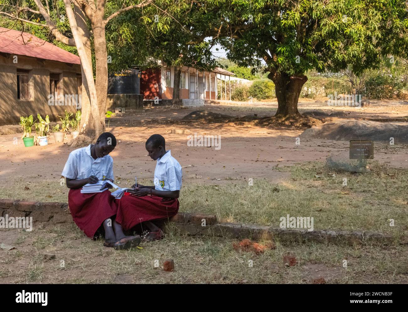 Uganda. Students study together outdoors. Editorial use only Stock ...
