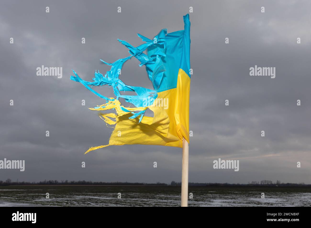 Kharkiv Region, Ukraine. 20th Dec, 2023. A tattered flag of Ukraine ...