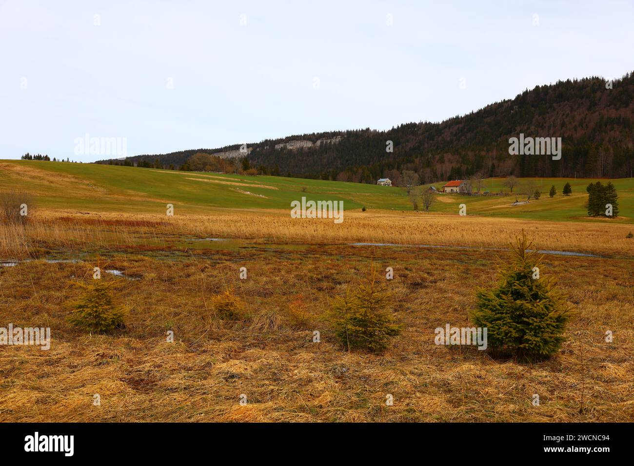View on a valley in the Jura department Stock Photo - Alamy