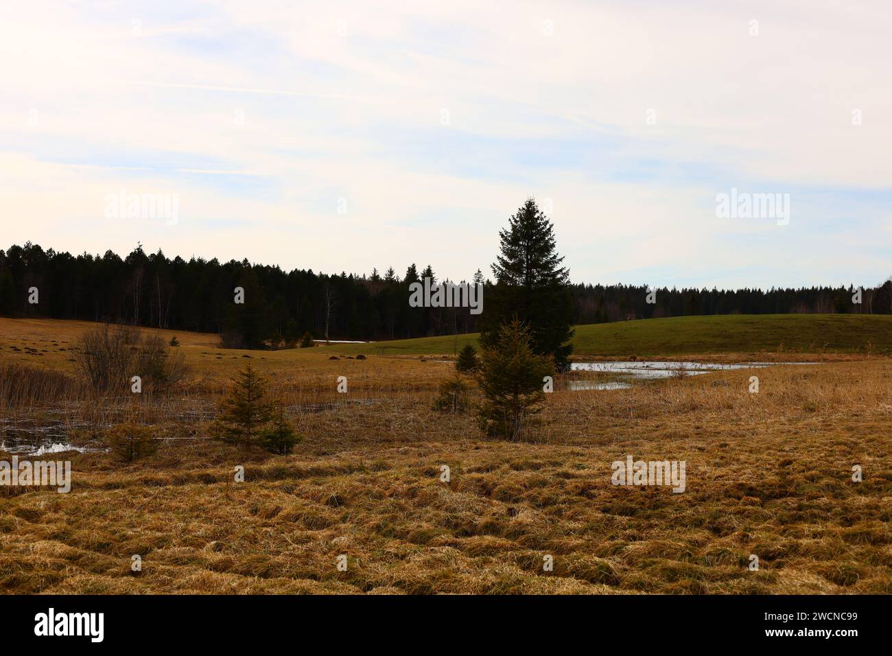 View on a valley in the Jura department Stock Photo - Alamy