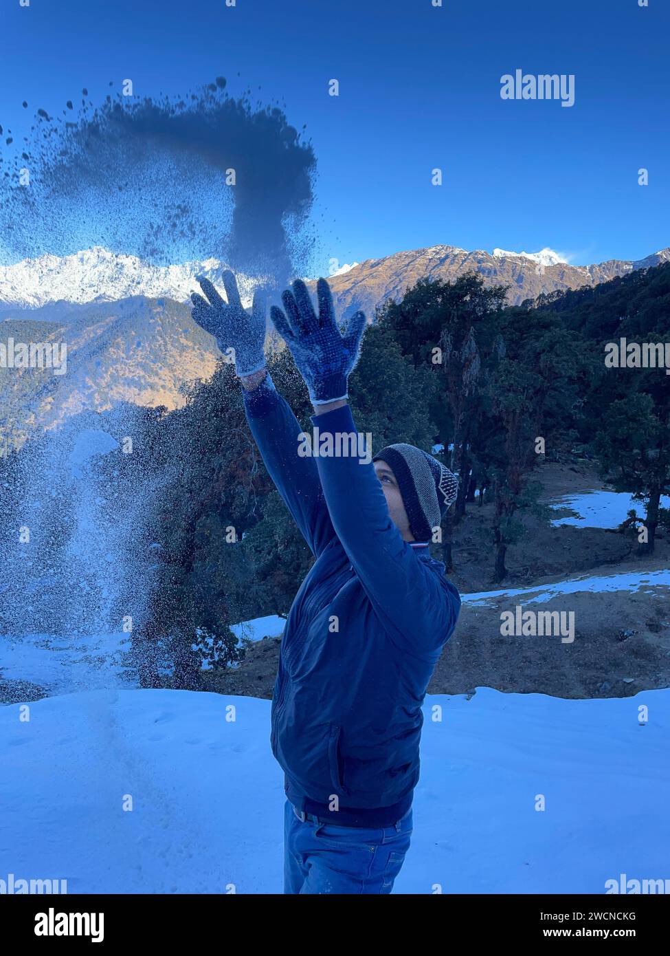 A person gleefully launches a snowball into the sky atop a majestic ...