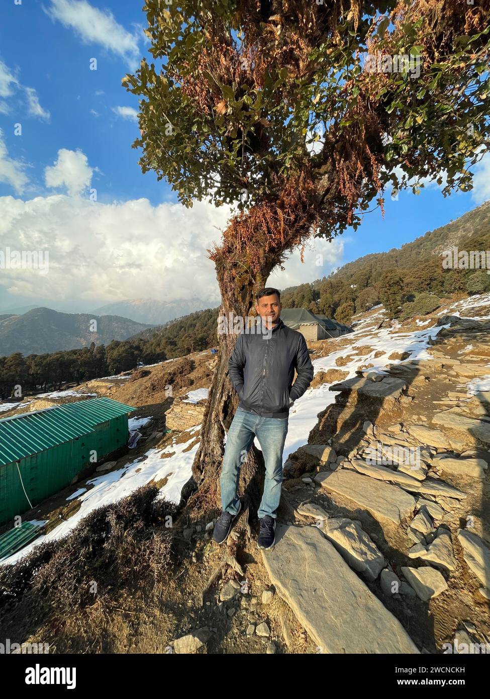 Man standing under ancient tree atop snowy hill Stock Photo - Alamy