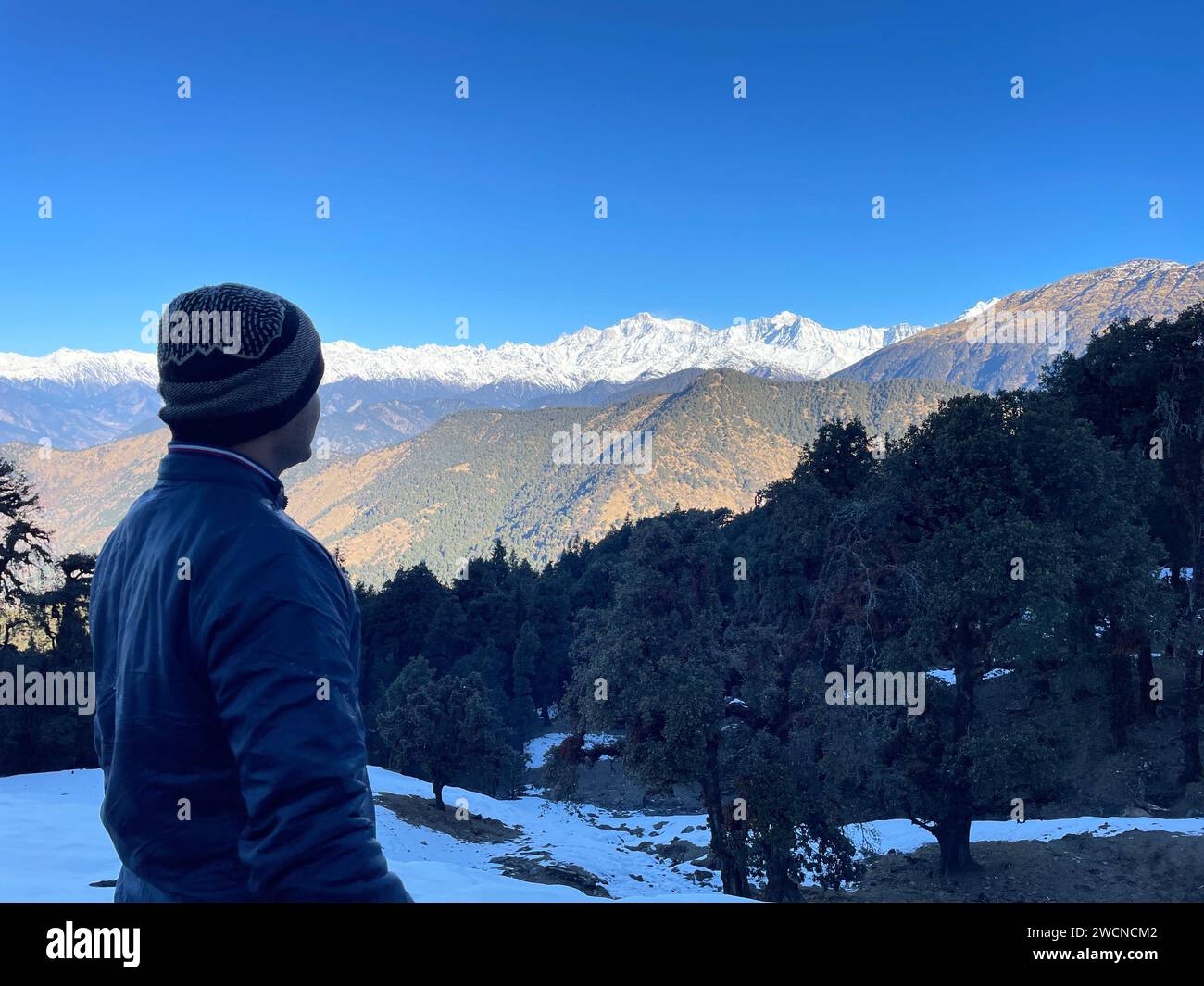Man gazing at distant snow-capped mountains in Nepal amidst lush ...