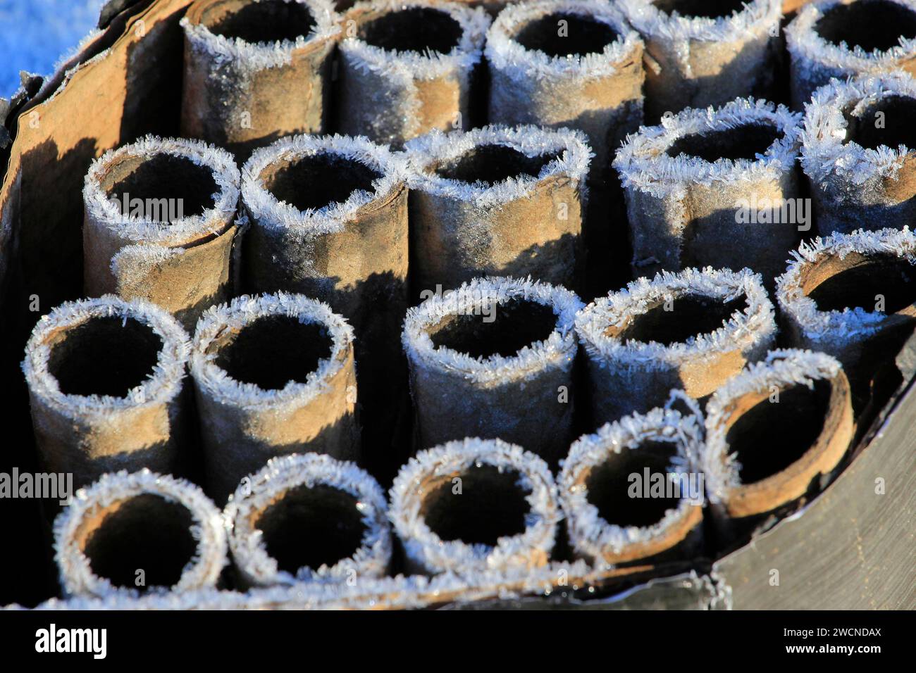 Tomorrow in winter in Dresden, fireworks, Saxony, Germany Stock Photo ...