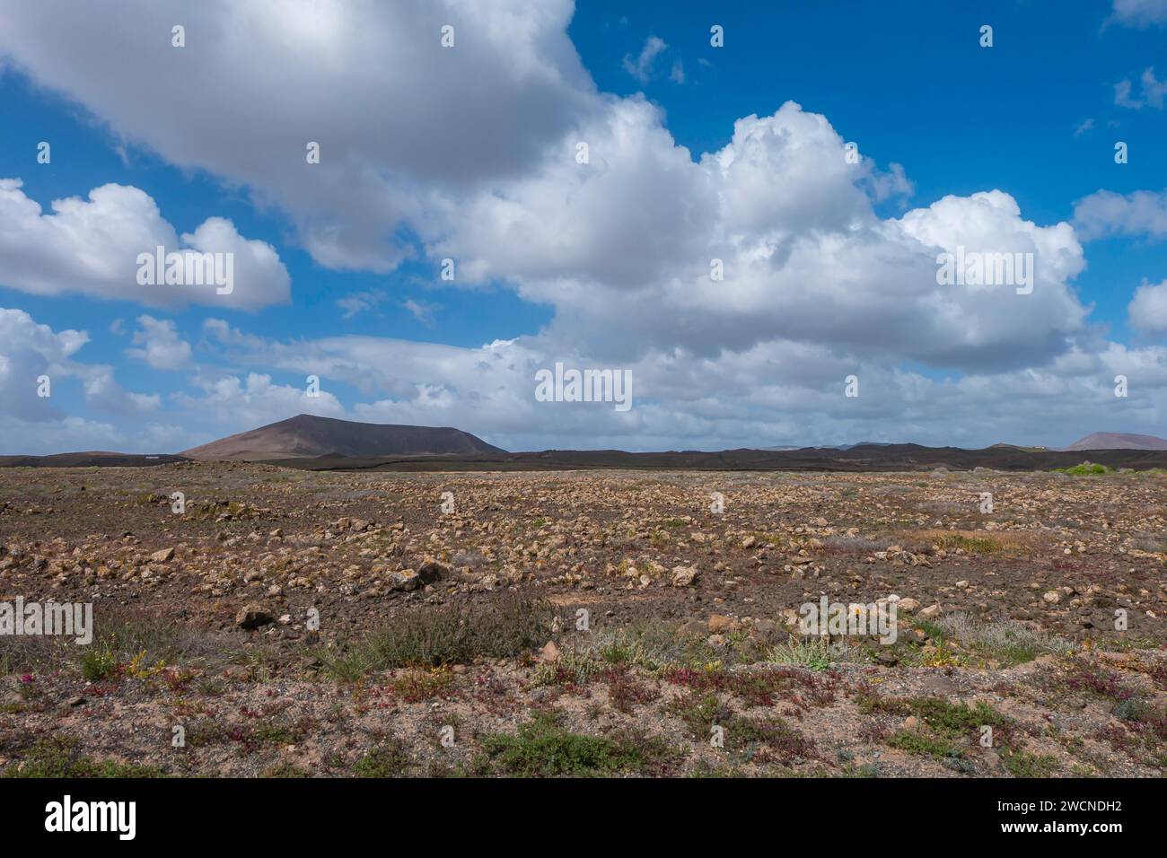 Volcanic landscape, fire mountains, volcanoes, Lanzarote, Canary ...