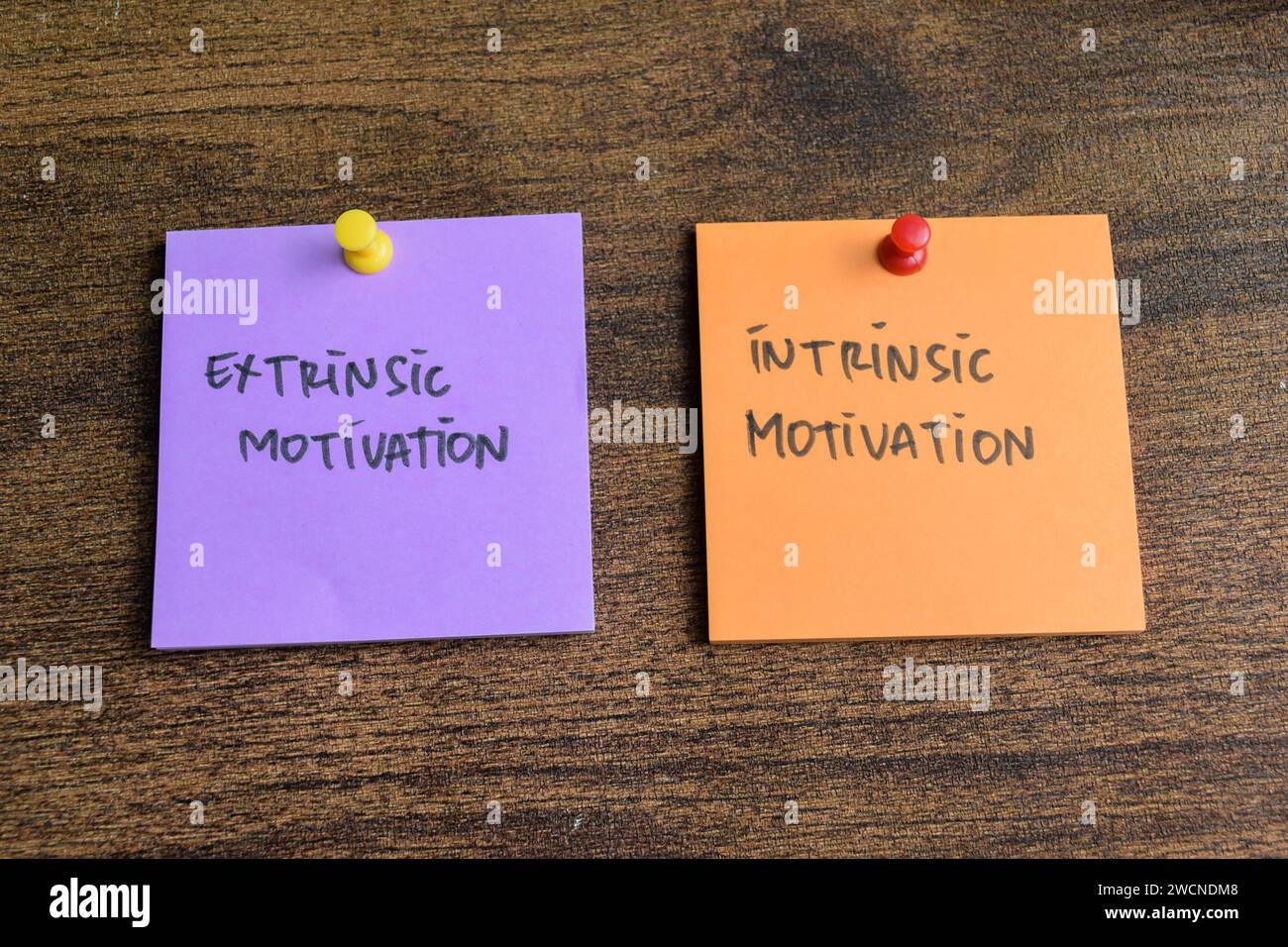 Concept of Extrinsic Motivation or Intrinsic Motivation write on sticky ...