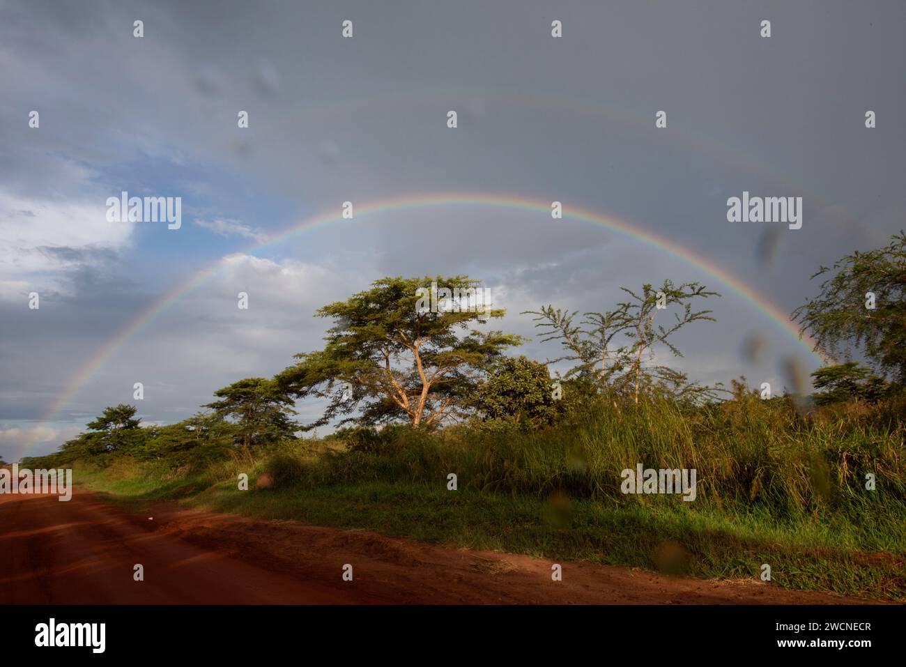 Uganda, Gwendiya, Gulu District. Double rainbow over the lush landscape ...