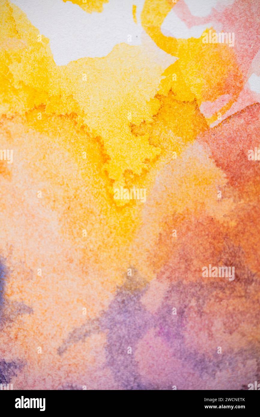 Painted in watercolor on a white background. Hand painted watercolor ...