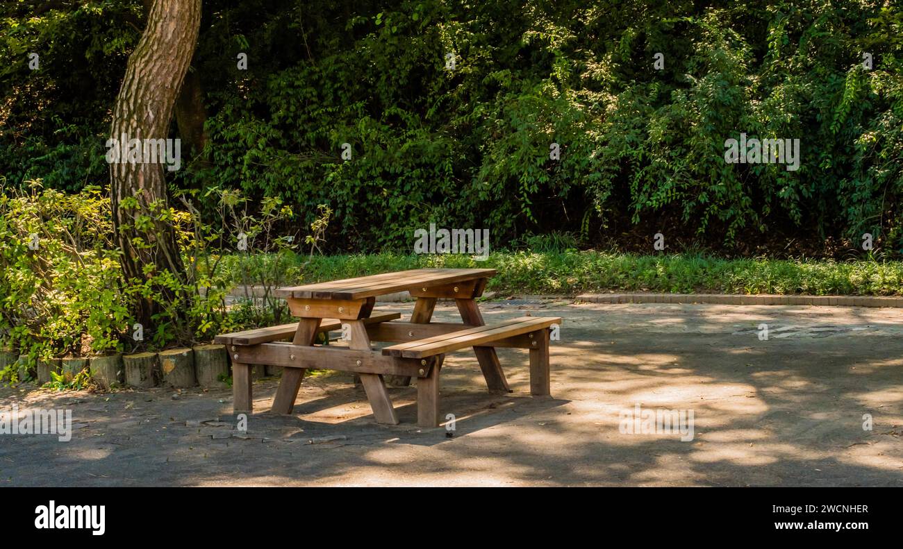 Wooden picnic table on concrete block sidewalk in park under shade tree ...