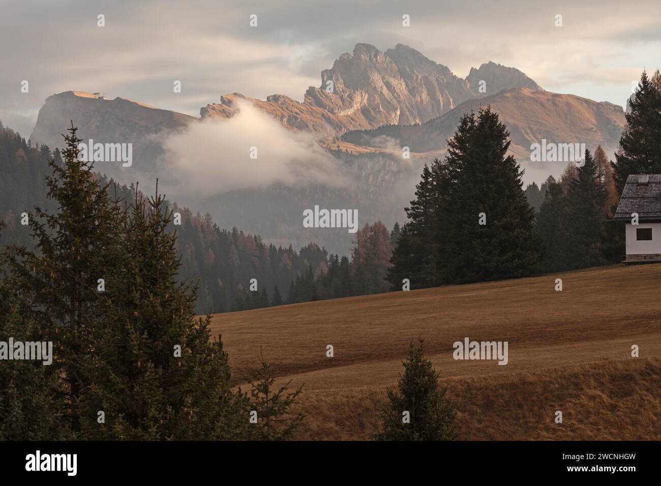 High alpine pasture, Alpe di Siusi. View of the Seceda, Dolomites Stock ...