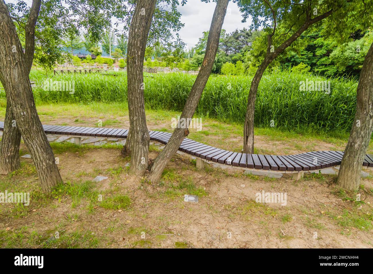 Curved park bench nestled between trees in a beautiful rural public ...