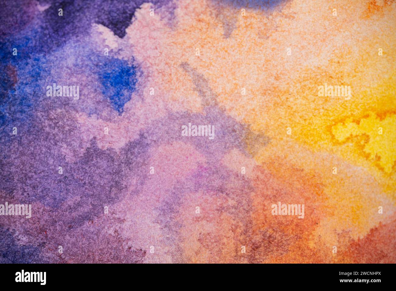 Painted in watercolor on a white background. Hand painted watercolor ...