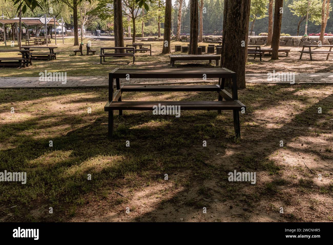 Picnic tables in a public park shaded by trees with the sun streaming ...